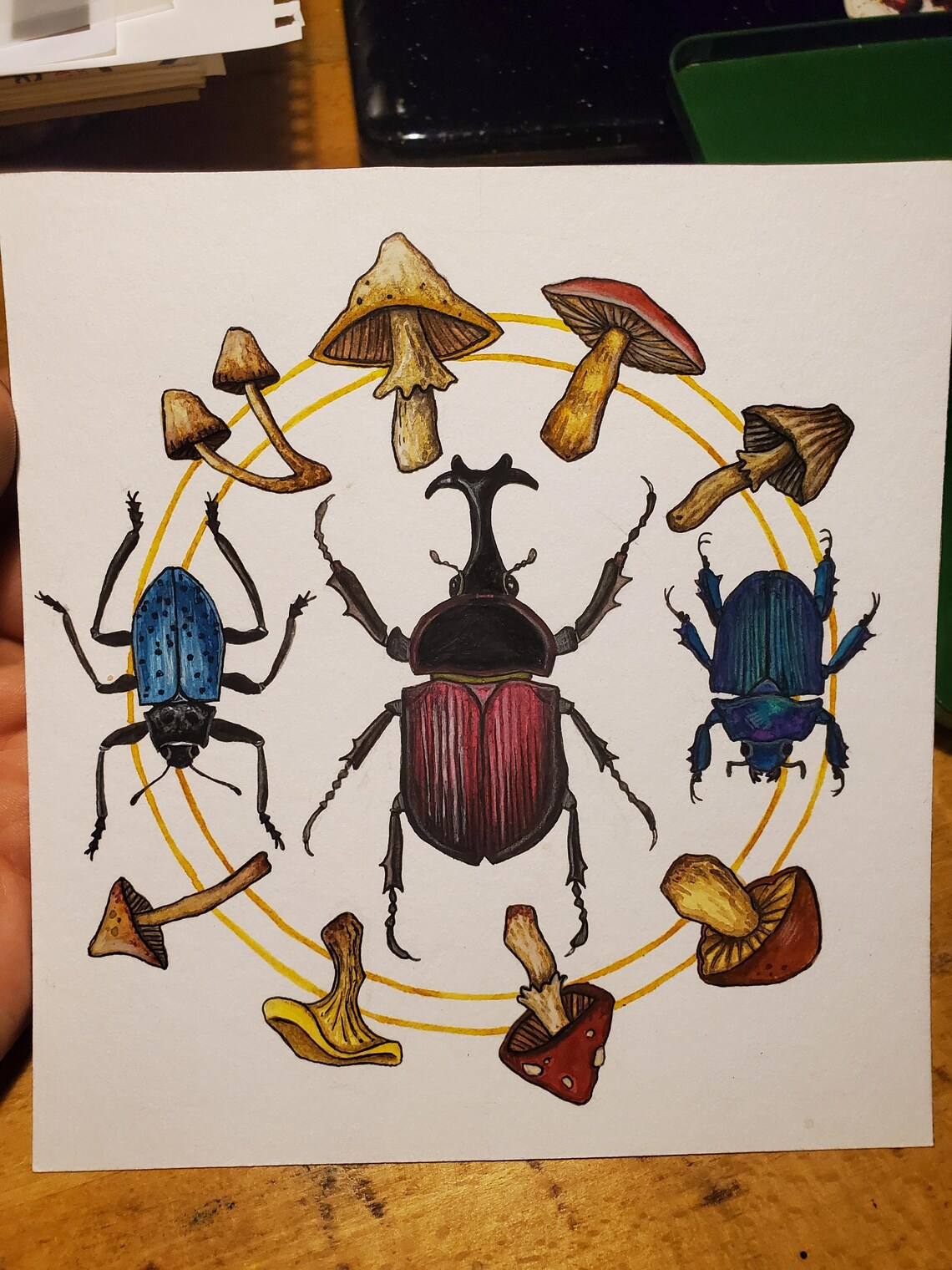 Original Painting. Insects and Mushroom Watercolour Illustration ...