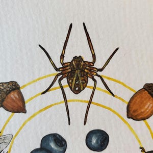 Original Bugs, Acorns Watercolour Illustration/ Leaves/ Nature ...