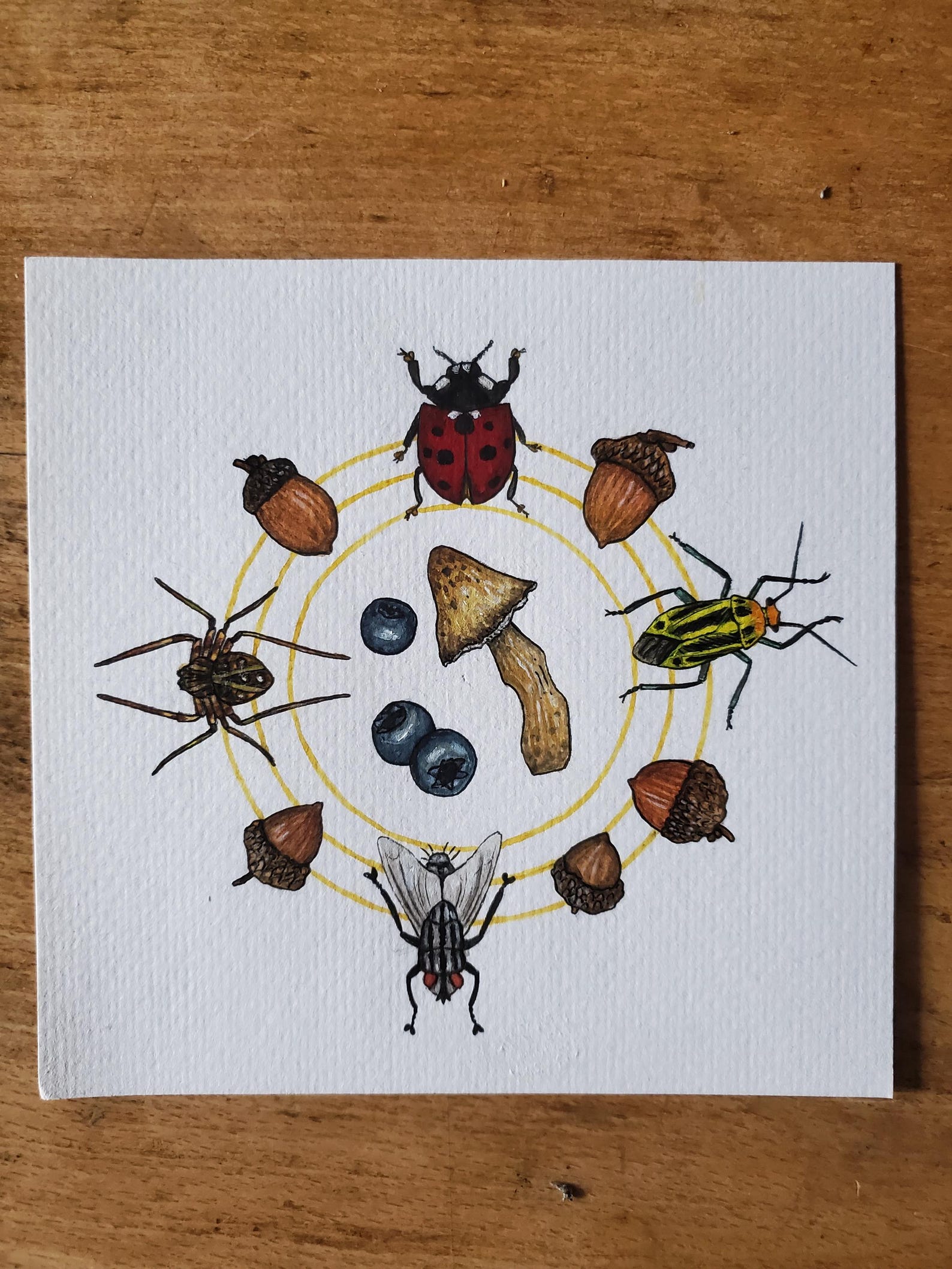 Original Bugs, Acorns Watercolour Illustration/ Leaves/ Nature ...