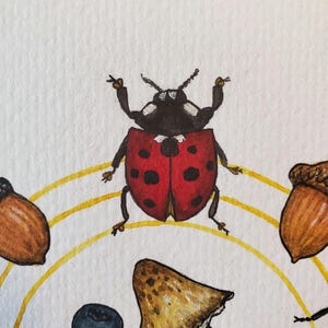 Original Bugs, Acorns Watercolour Illustration/ Leaves/ Nature ...