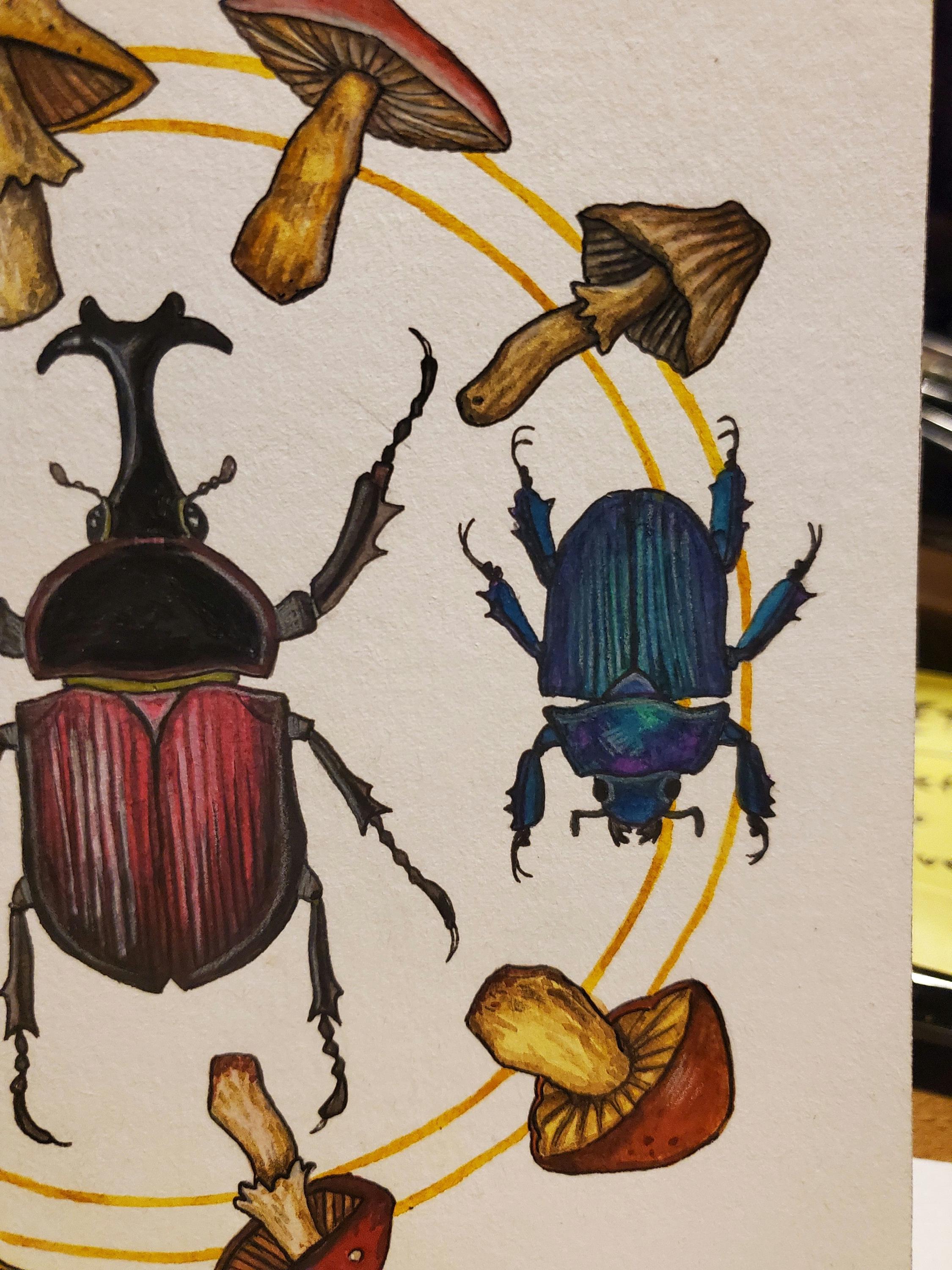 Original Painting. Insects and Mushroom Watercolour Illustration ...