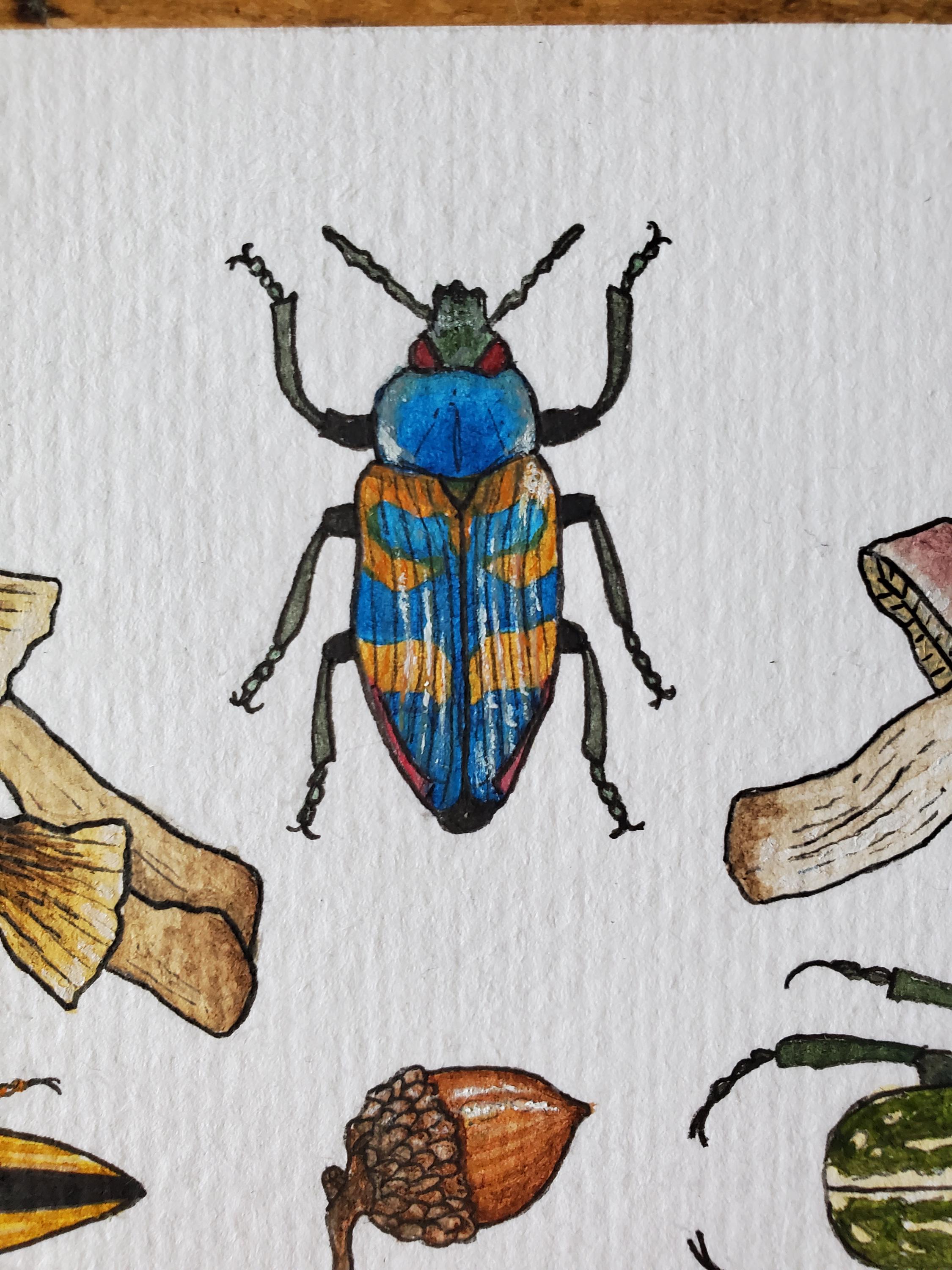 Original Bugs, Acorn and Mushroom Watercolour Illustration/ Leaves ...