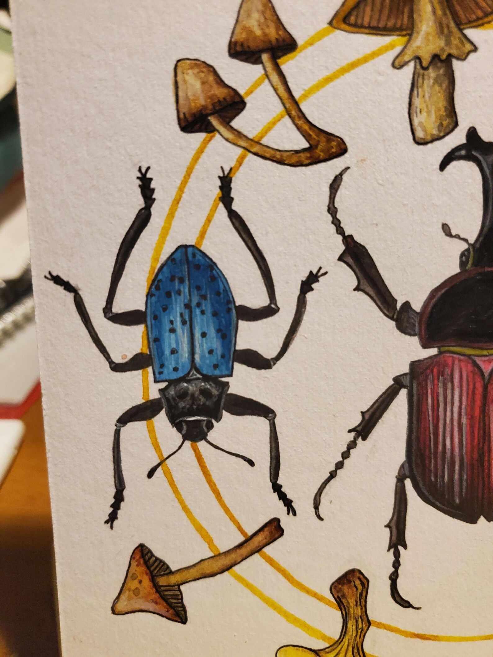 Original Painting. Insects and Mushroom Watercolour Illustration ...