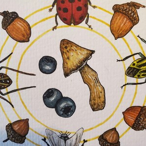 Original Bugs, Acorns Watercolour Illustration/ Leaves/ Nature ...