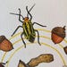 Original Bugs, Acorns Watercolour Illustration/ Leaves/ Nature ...