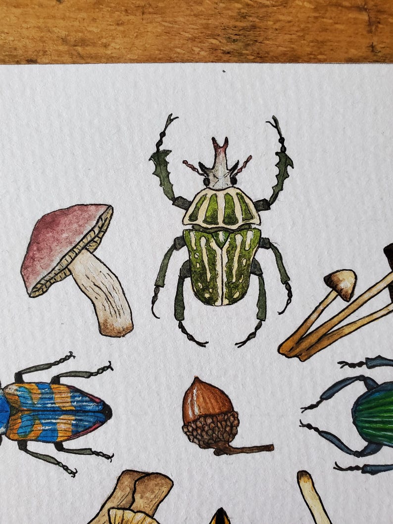 Original Bugs, Acorn and Mushroom Watercolour Illustration/ Leaves ...
