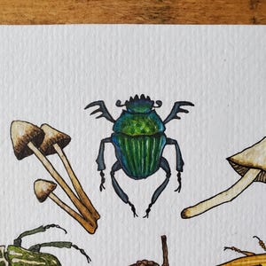 Original Bugs, Acorn and Mushroom Watercolour Illustration/ Leaves ...
