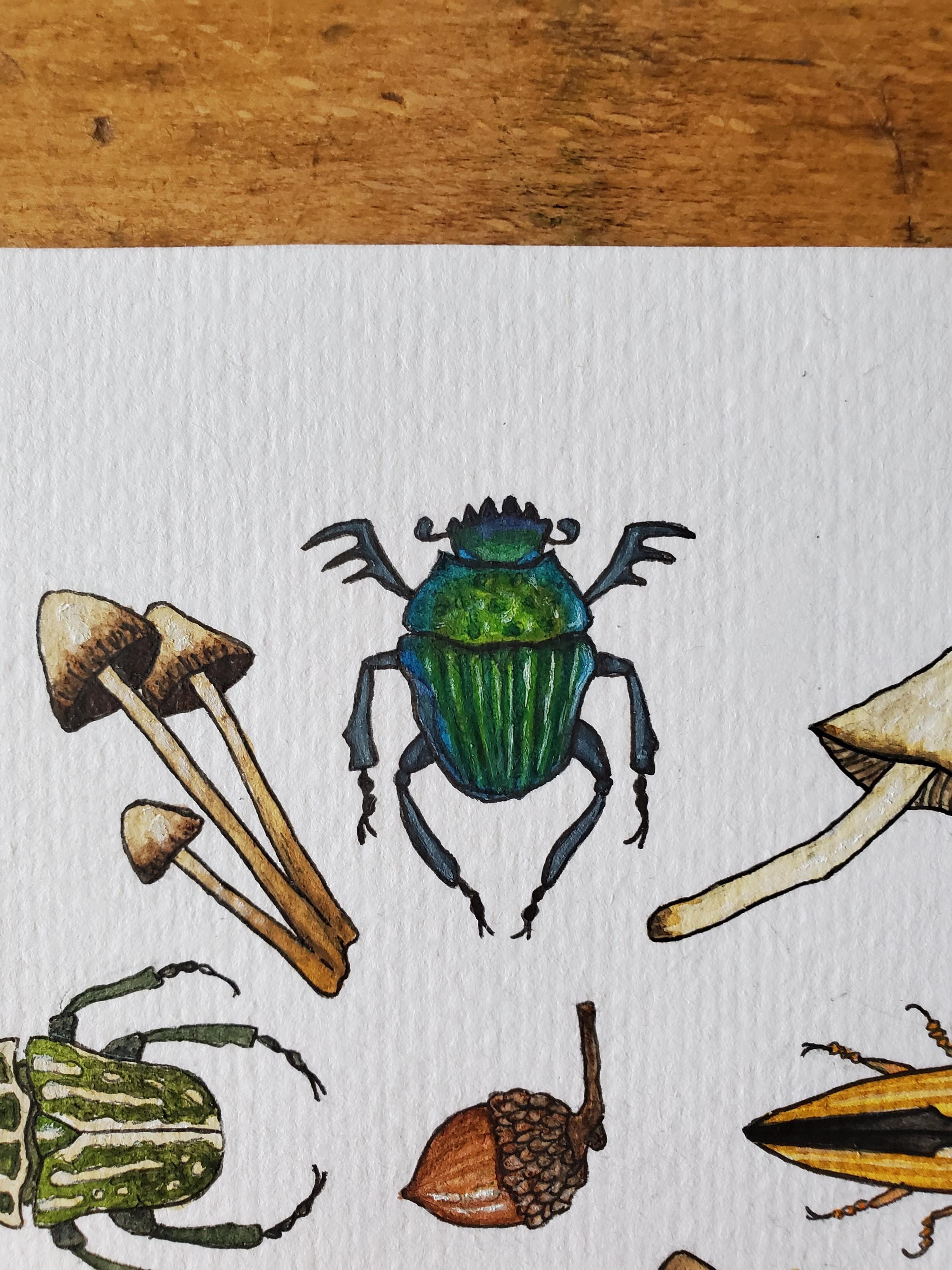 Original Bugs, Acorn and Mushroom Watercolour Illustration/ Leaves ...
