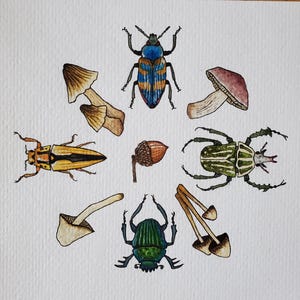 Original Bugs, Acorn and Mushroom Watercolour Illustration/ Leaves ...