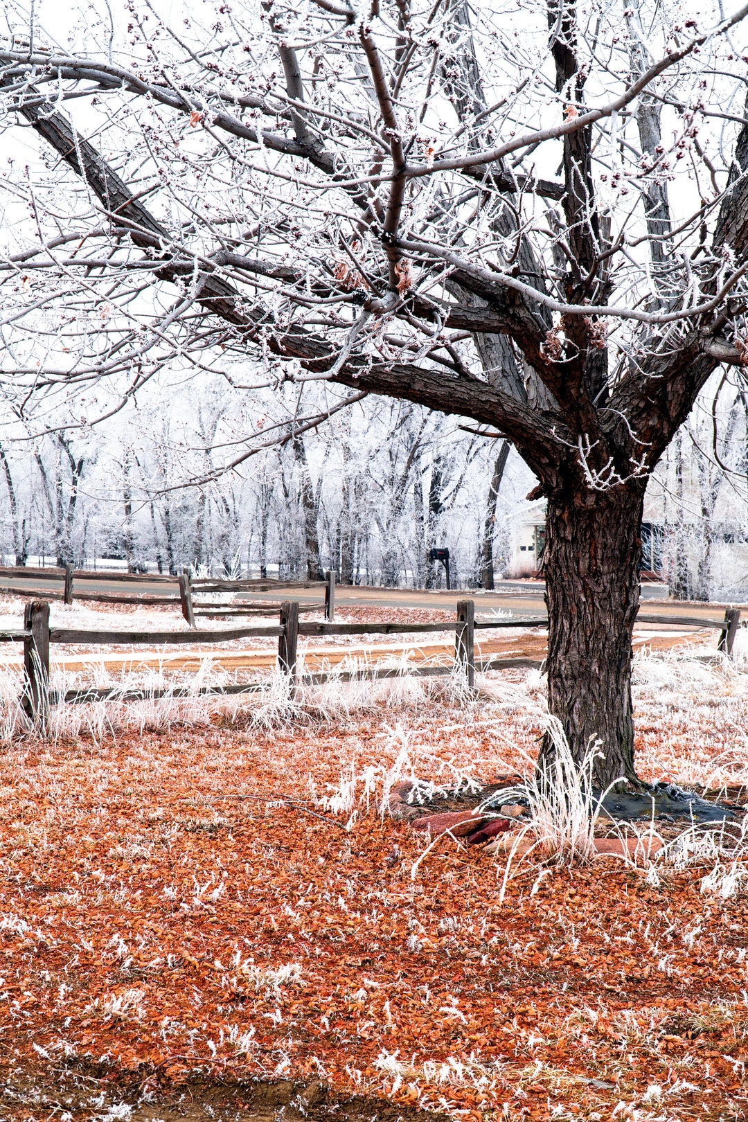 A Winter Love Tree - Etsy
