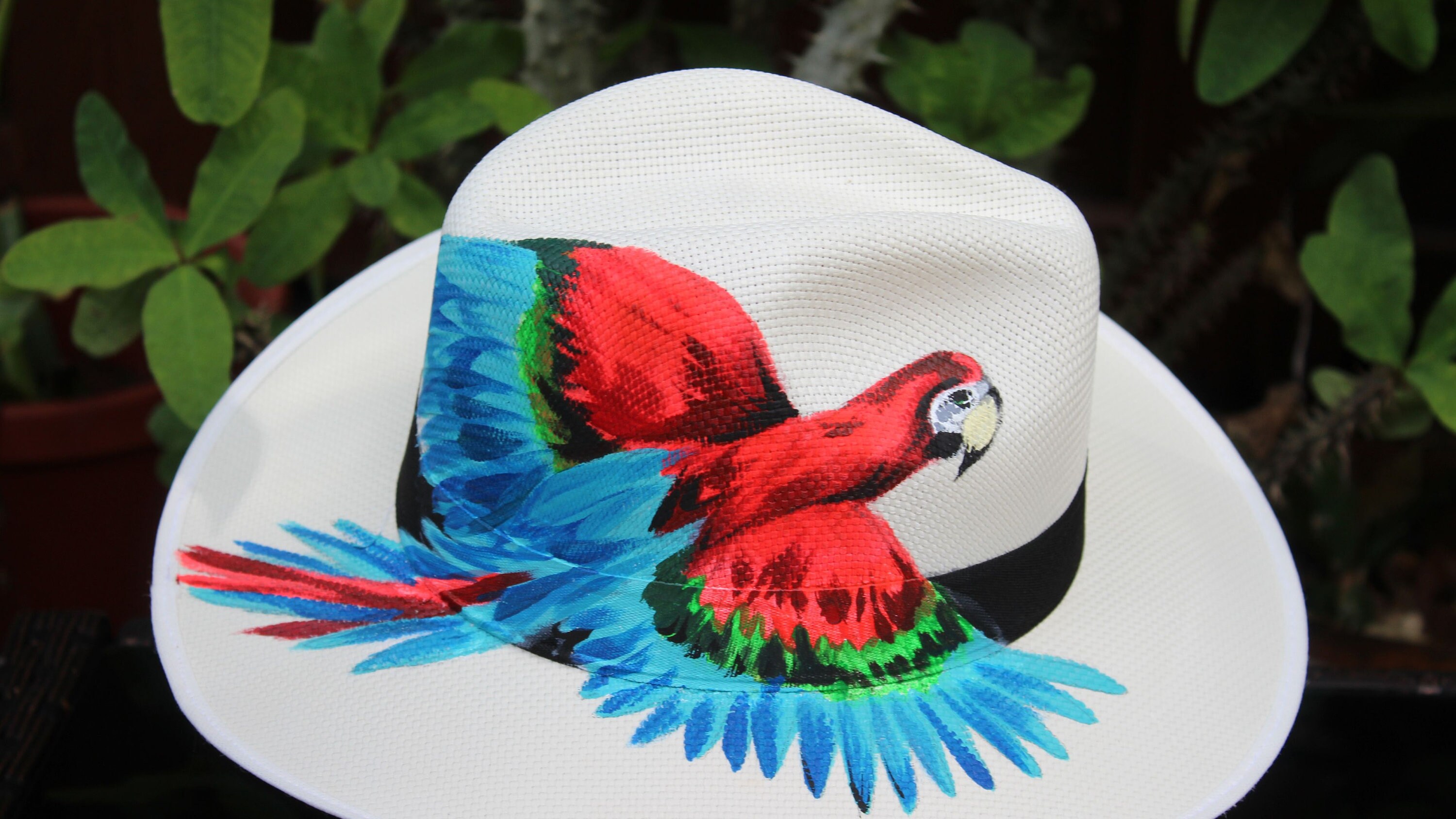 Hats, Guacamaya Hats Painted by Hand, Colombian Hats, Mexican Hats ...