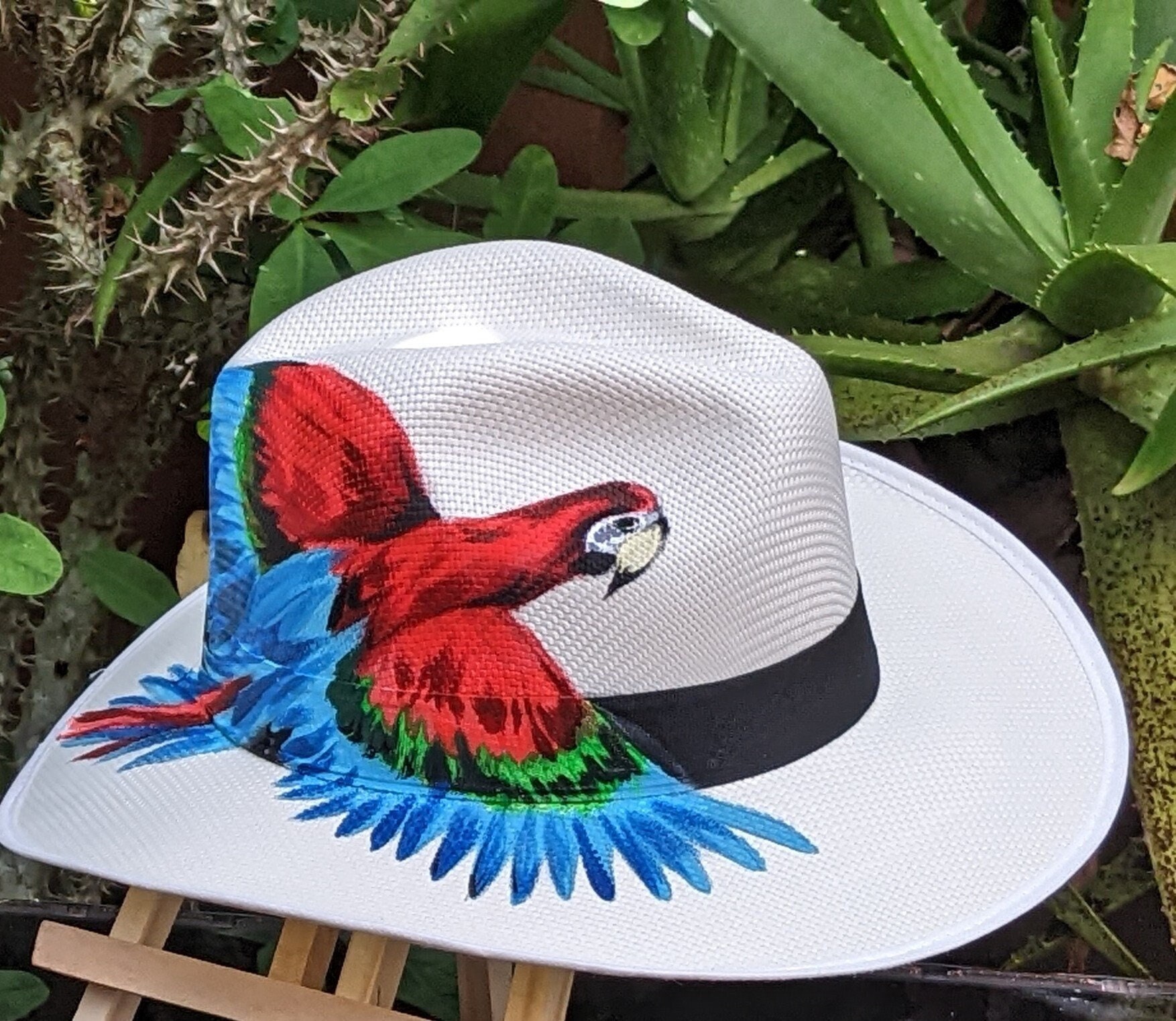 Hats, Guacamaya Hats Painted by Hand, Colombian Hats, Mexican Hats ...