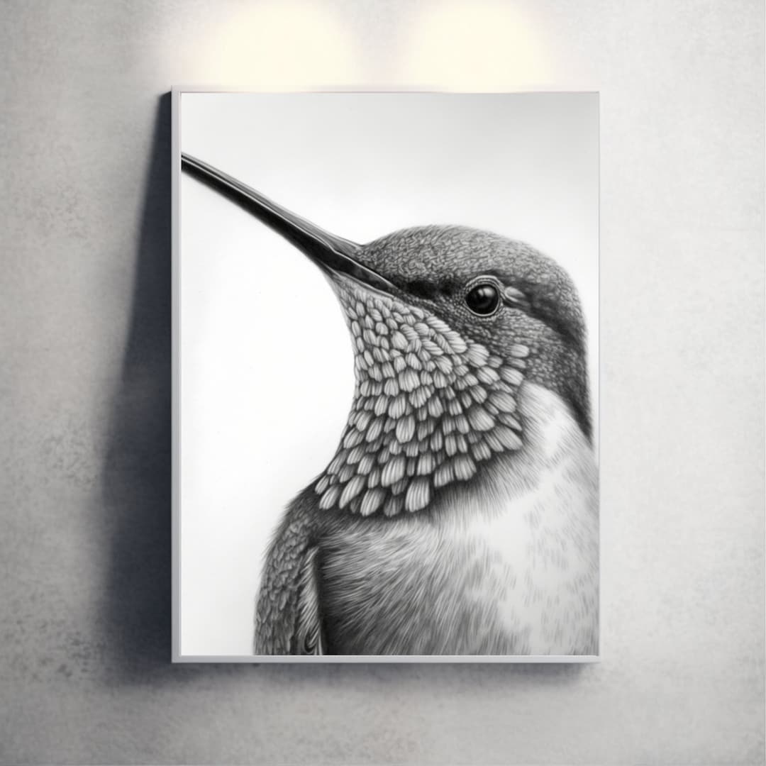 Majestic Hummingbird Pencil Drawing.. Printable Download, Hummingbird ...