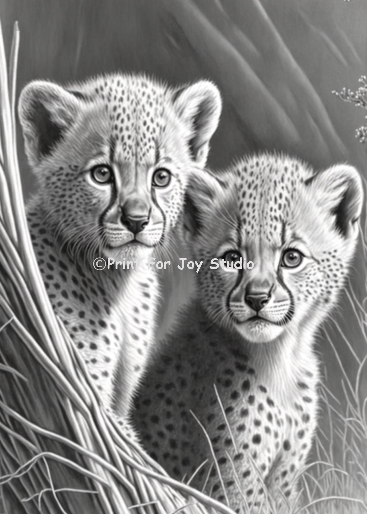 Curious Cheetah Cubs Pencil Drawing. Printable Download, Cheetah Cubs ...