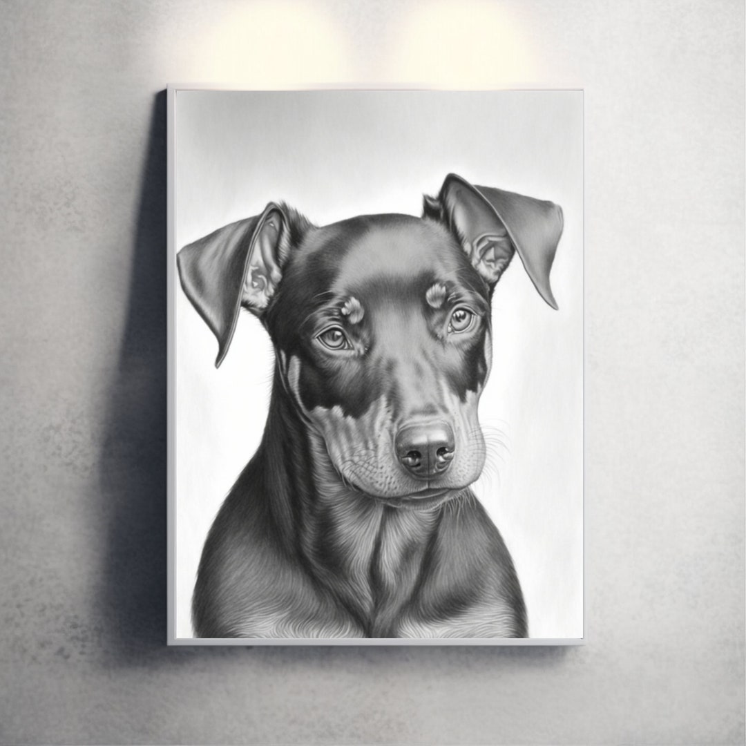 Cute Doberman Puppy Pencil Drawing. Printable Download, Doberman ...