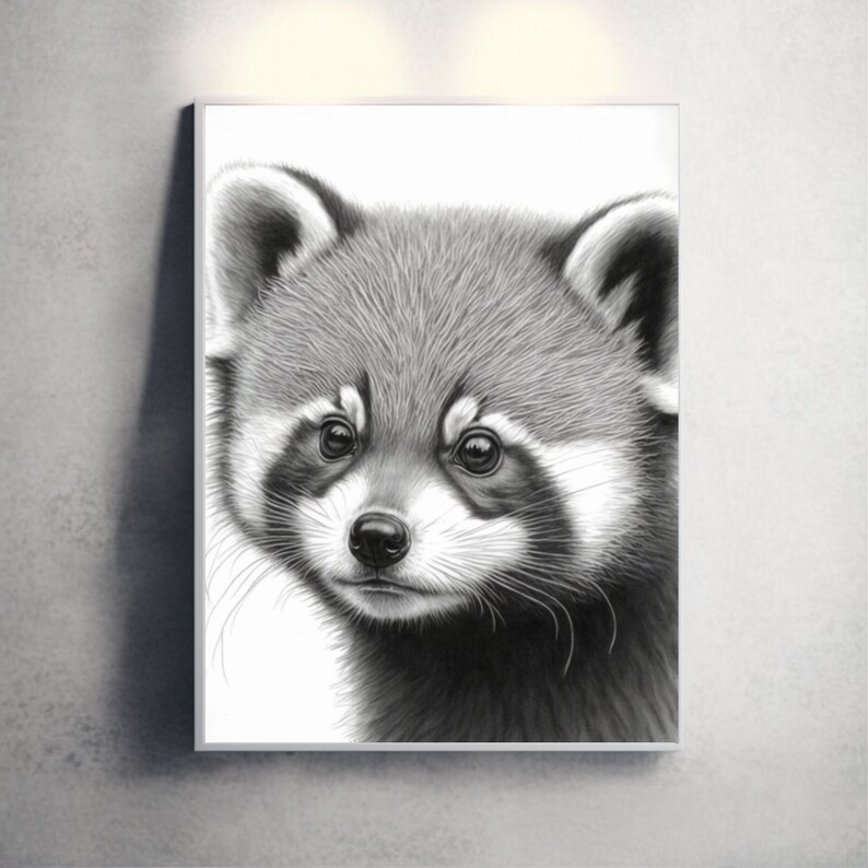 Cute Red Panda Cub Pencil Drawing. Printable Download, Red Panda Cub ...