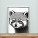 Cute Red Panda Cub Pencil Drawing. Printable Download, Red Panda Cub ...