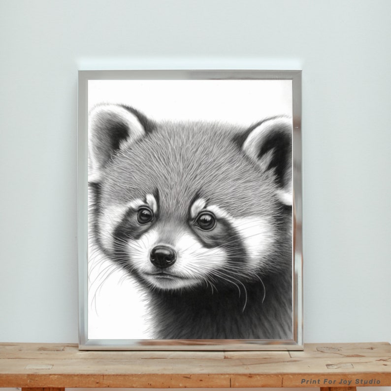 Cute Red Panda Cub Pencil Drawing. Printable Download, Red Panda Cub ...