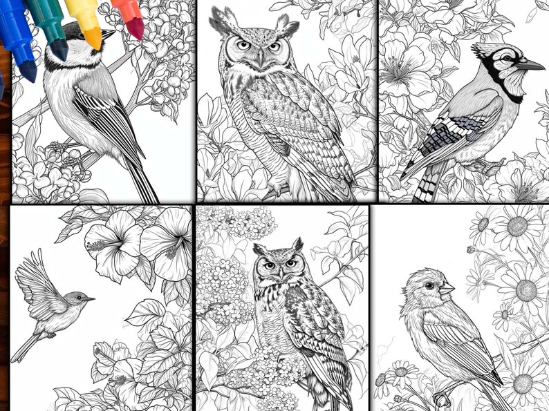 110 Bird Coloring Pages for Adults, Bird Coloring Sheets, Adult ...