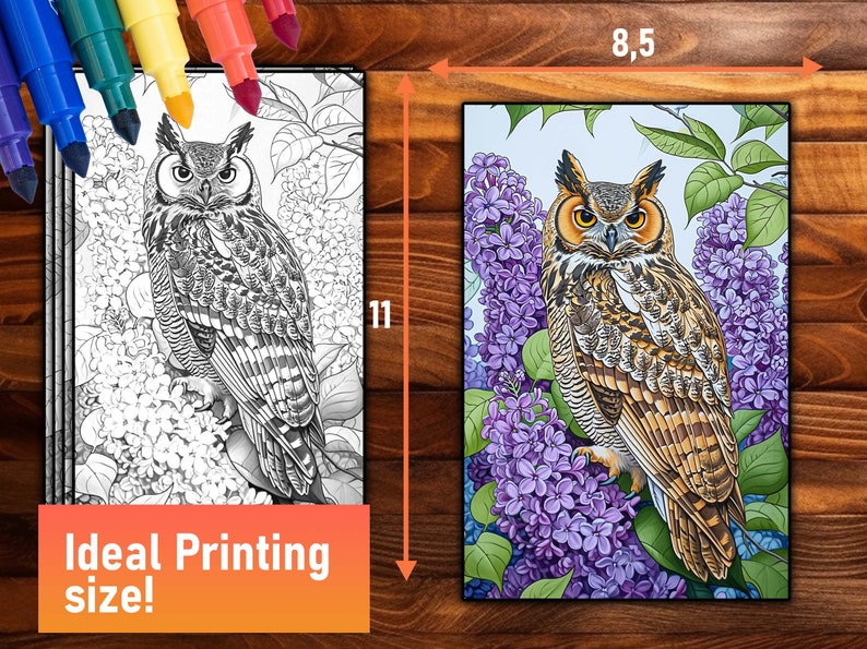 110 Bird Coloring Pages for Adults, Bird Coloring Sheets, Adult ...