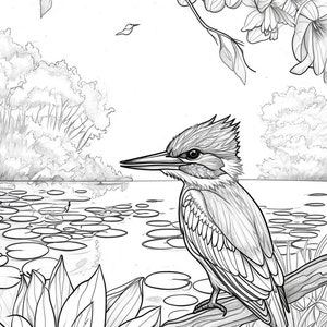 110 Bird Coloring Pages for Adults, Bird Coloring Sheets, Adult ...