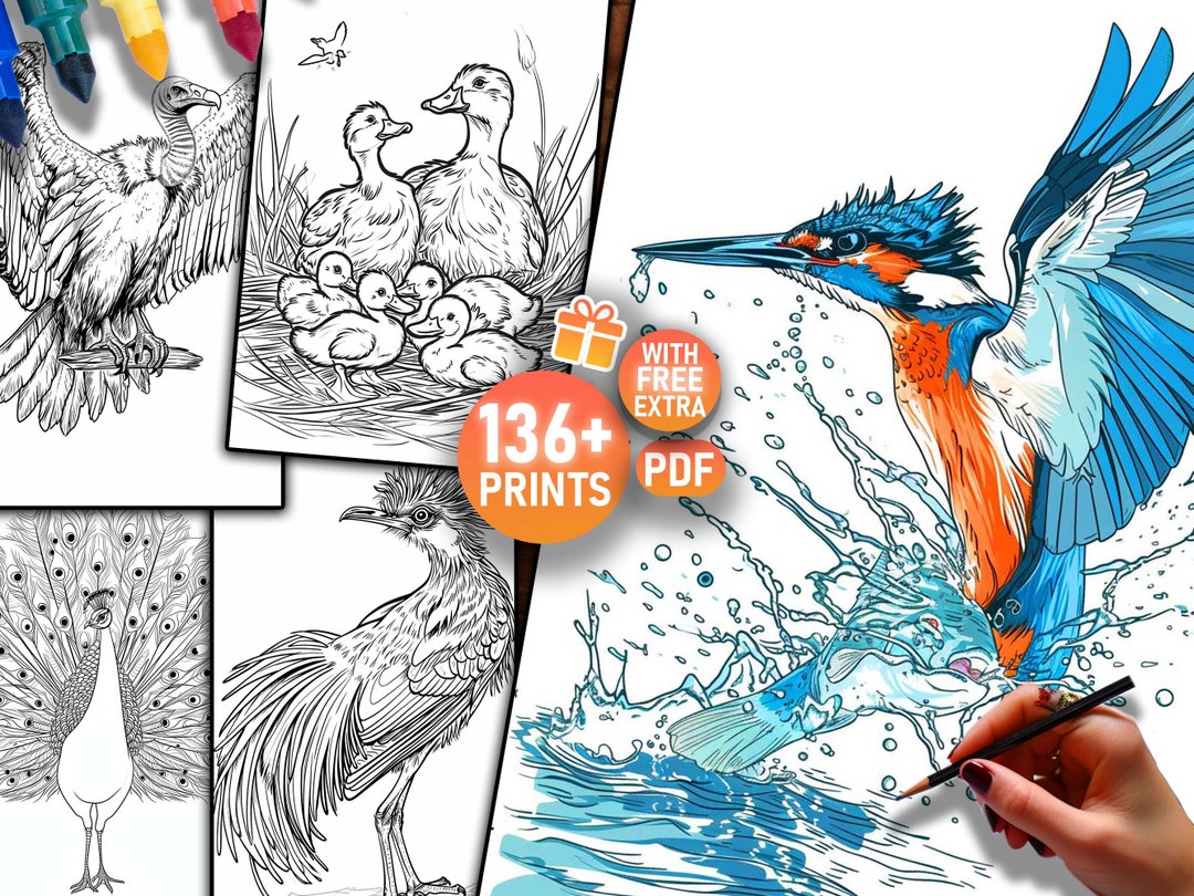 135+ Bird Coloring Pages for Adults, Bird Coloring Sheets, Adult ...