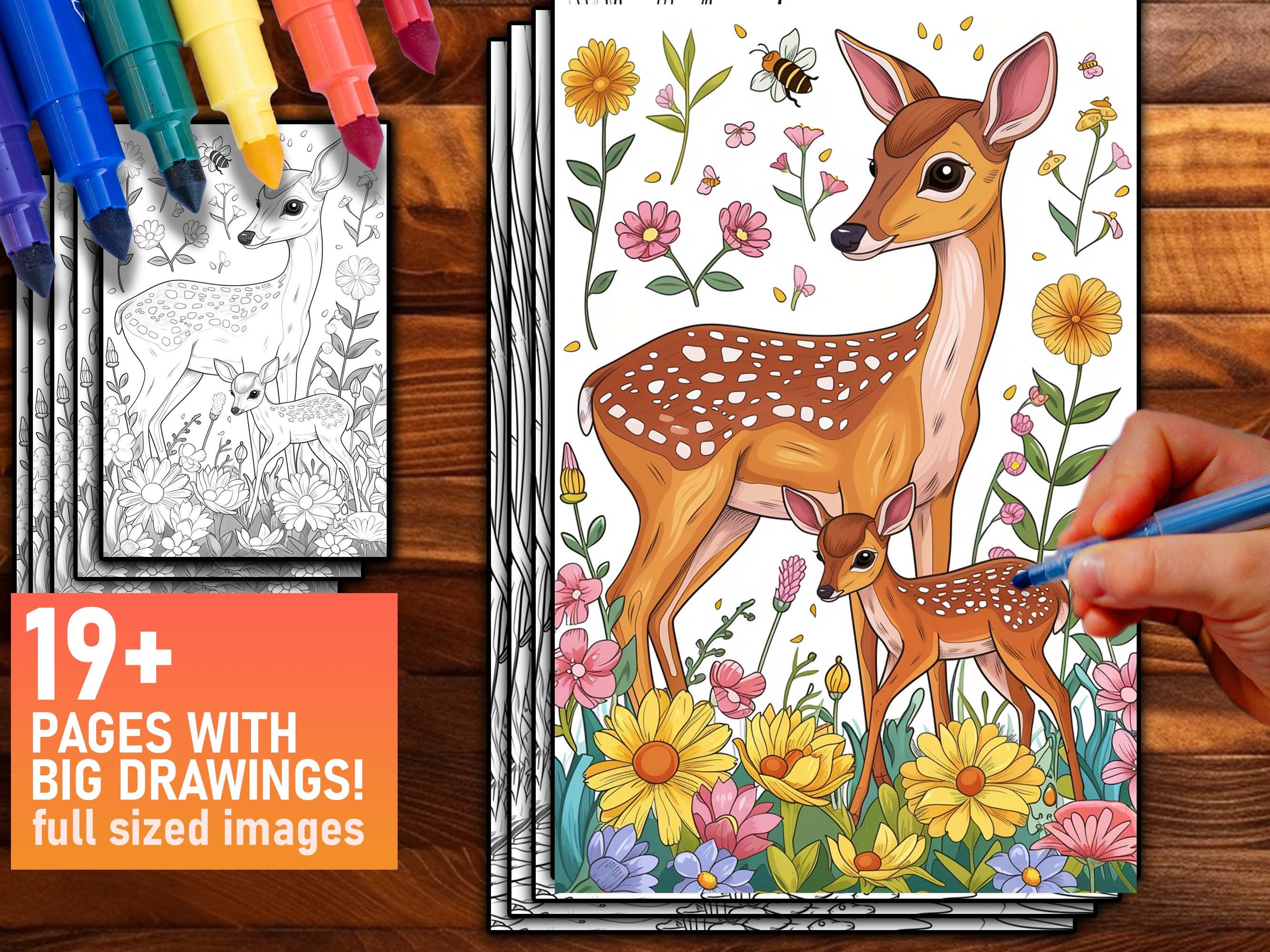 20 Deer Coloring Page, Forest Animal Coloring Sheets, Wild Animals ...