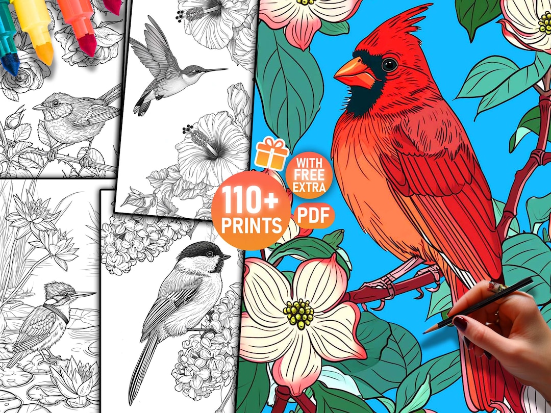 110 Bird Coloring Pages for Adults, Bird Coloring Sheets, Adult ...