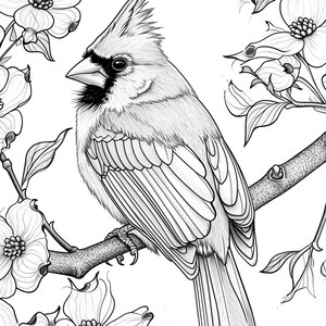 110 Bird Coloring Pages for Adults, Bird Coloring Sheets, Adult ...