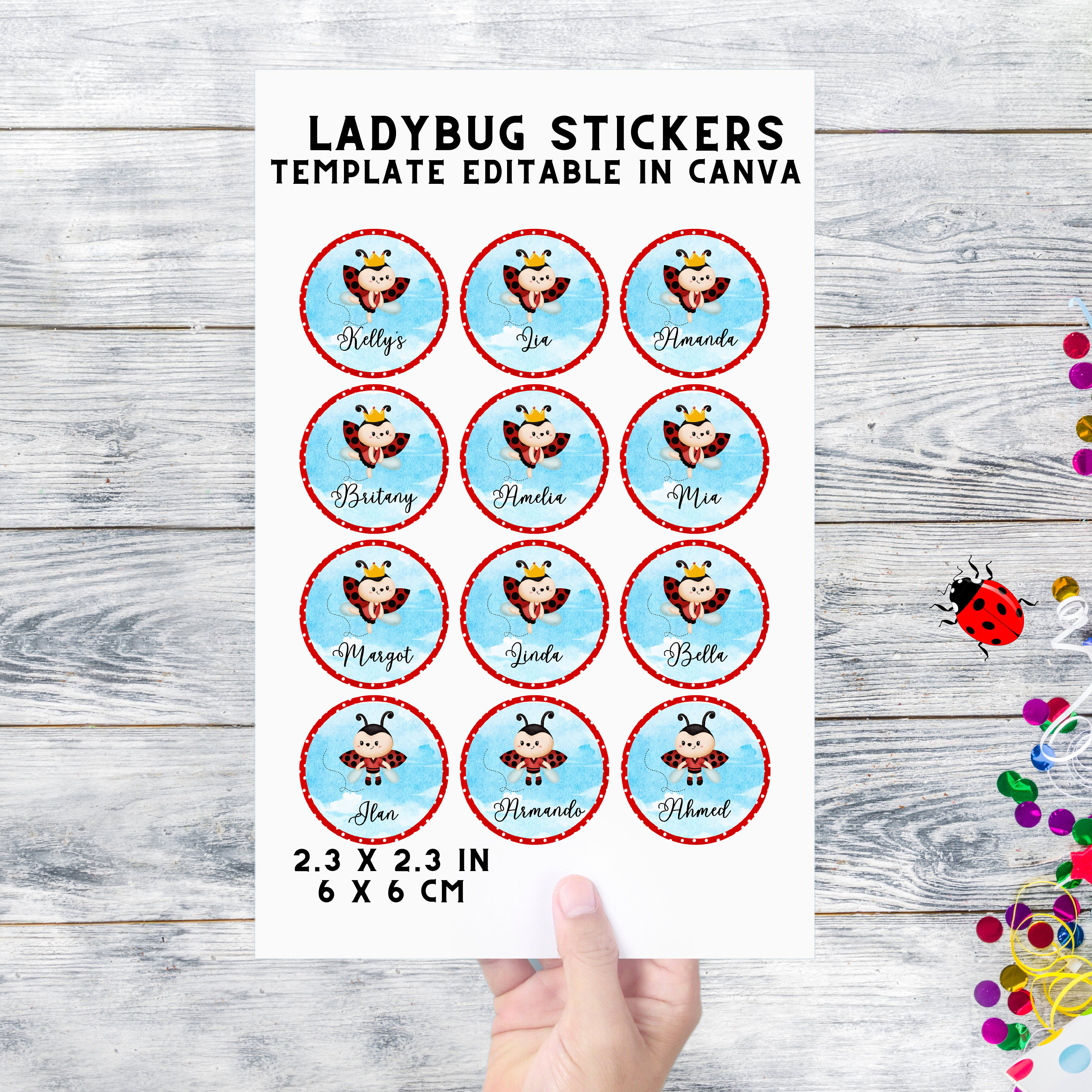 MIRACULOUS LADYBUG Ladybug Birthday Birthday Invitation Template ...