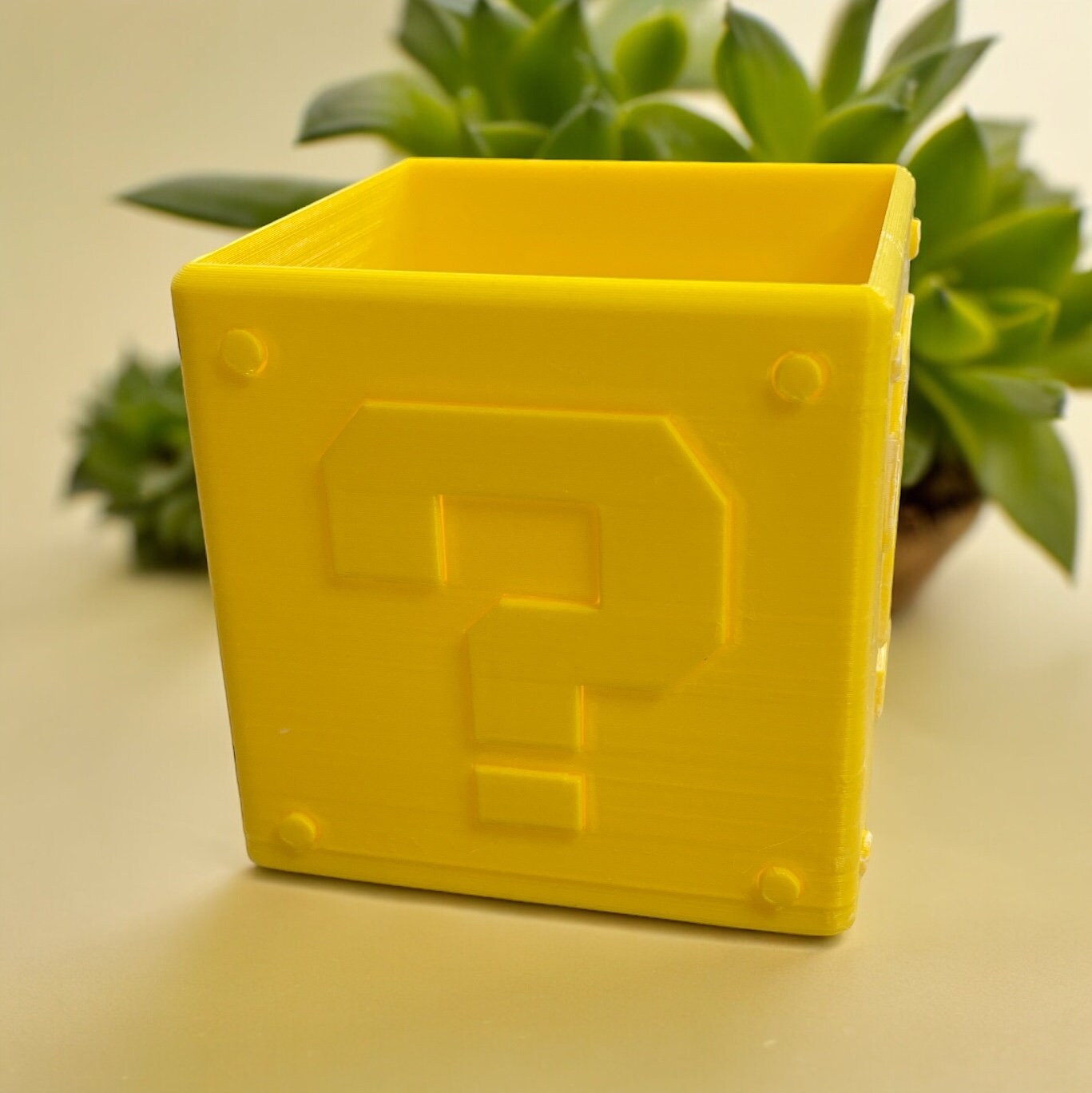 Cactus Pots. Set of Pots With Super Mario Theme for Cactus - Etsy