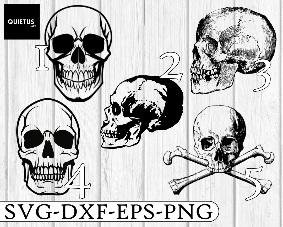 Skull, SVG, Skull SVG, Skull Clipart, Skull Vector, Skull Cricut, Skull ...
