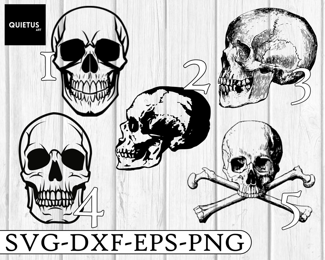 Skull SVG Skull SVG Skull Clipart Skull Vector Skull - Etsy