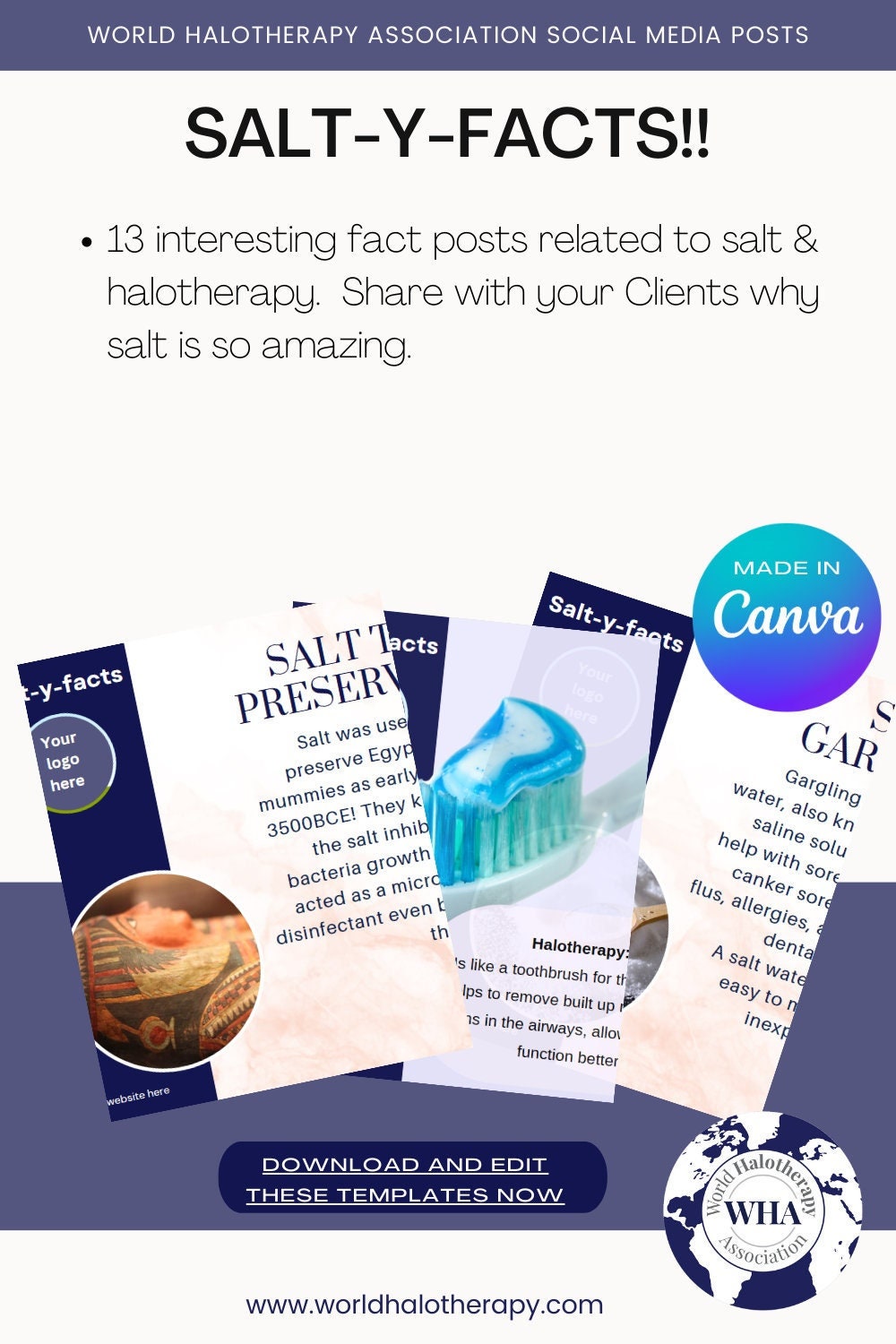 Salt-y-facts 13 Editable Social Media Templates - Etsy