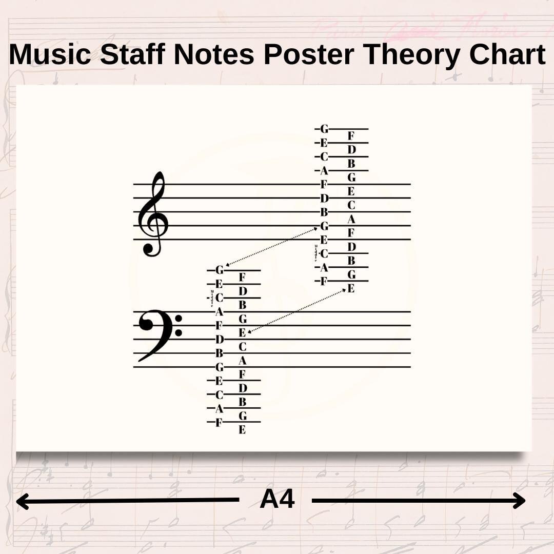Music Theory Chart - Printable Staff Notes Reference for Beginners - Etsy