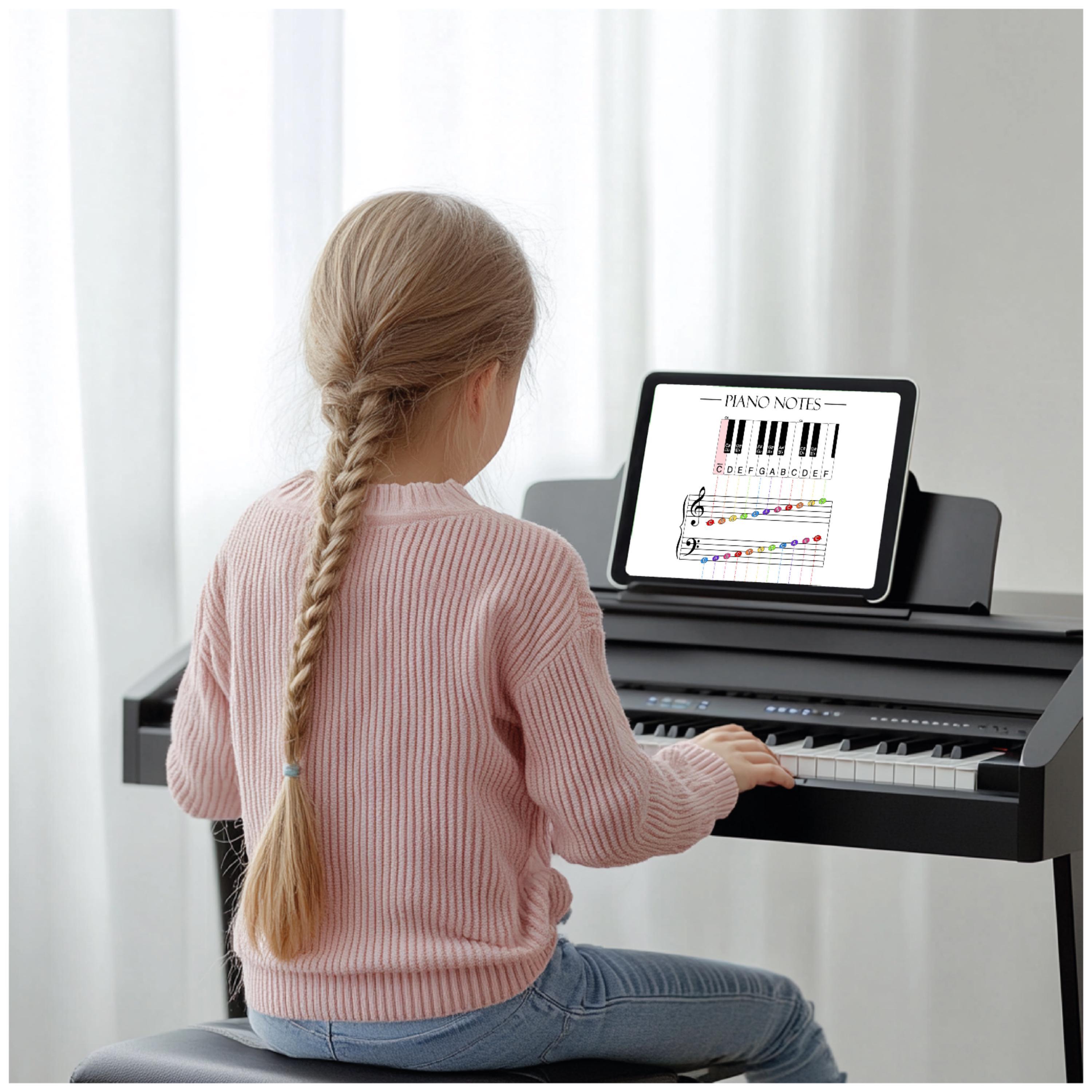 Beginner Piano Notes Poster, Colorful, Black-white Versions, Music ...