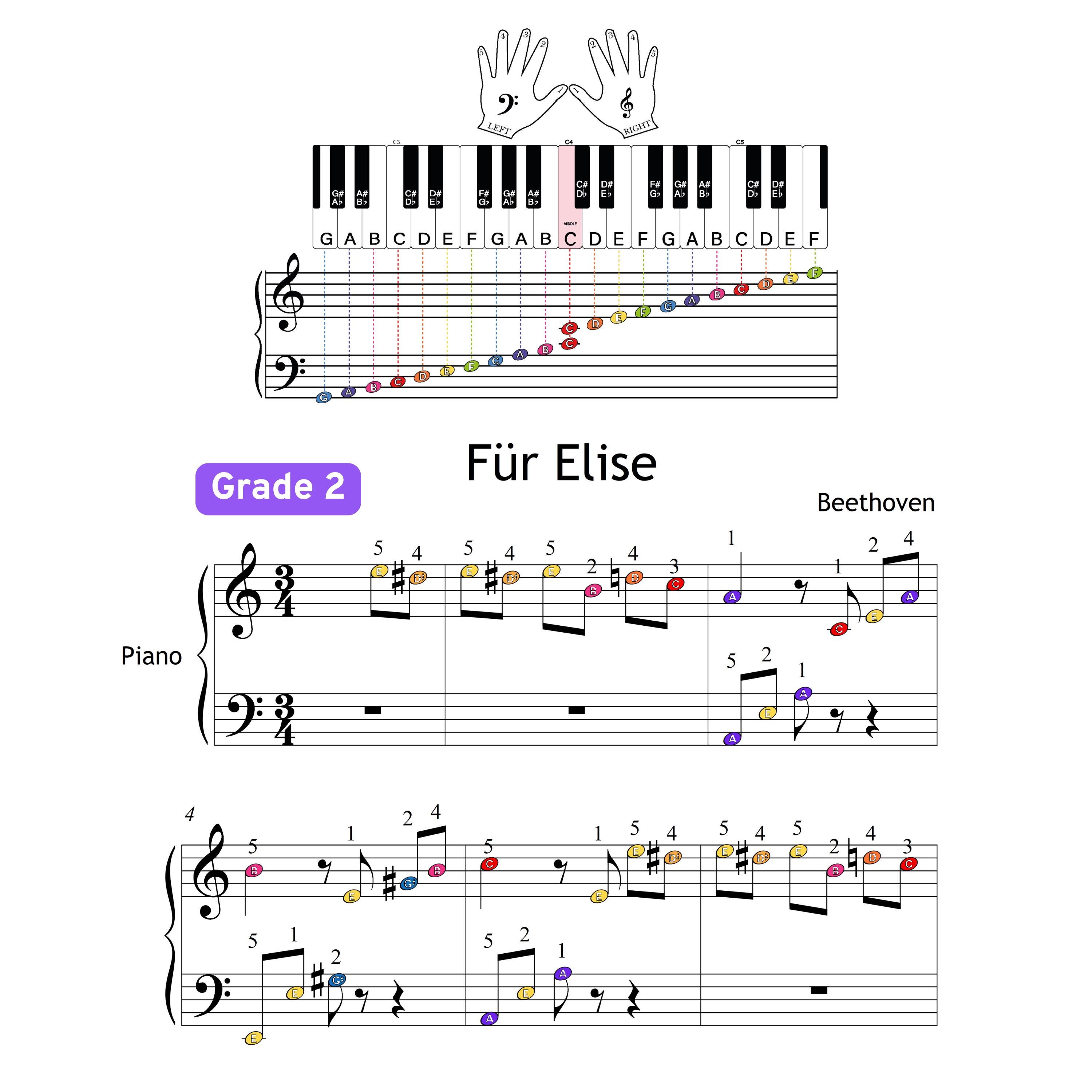 Für Elise Simplified - Easy Piano Sheet for Beginners by Beethoven ...