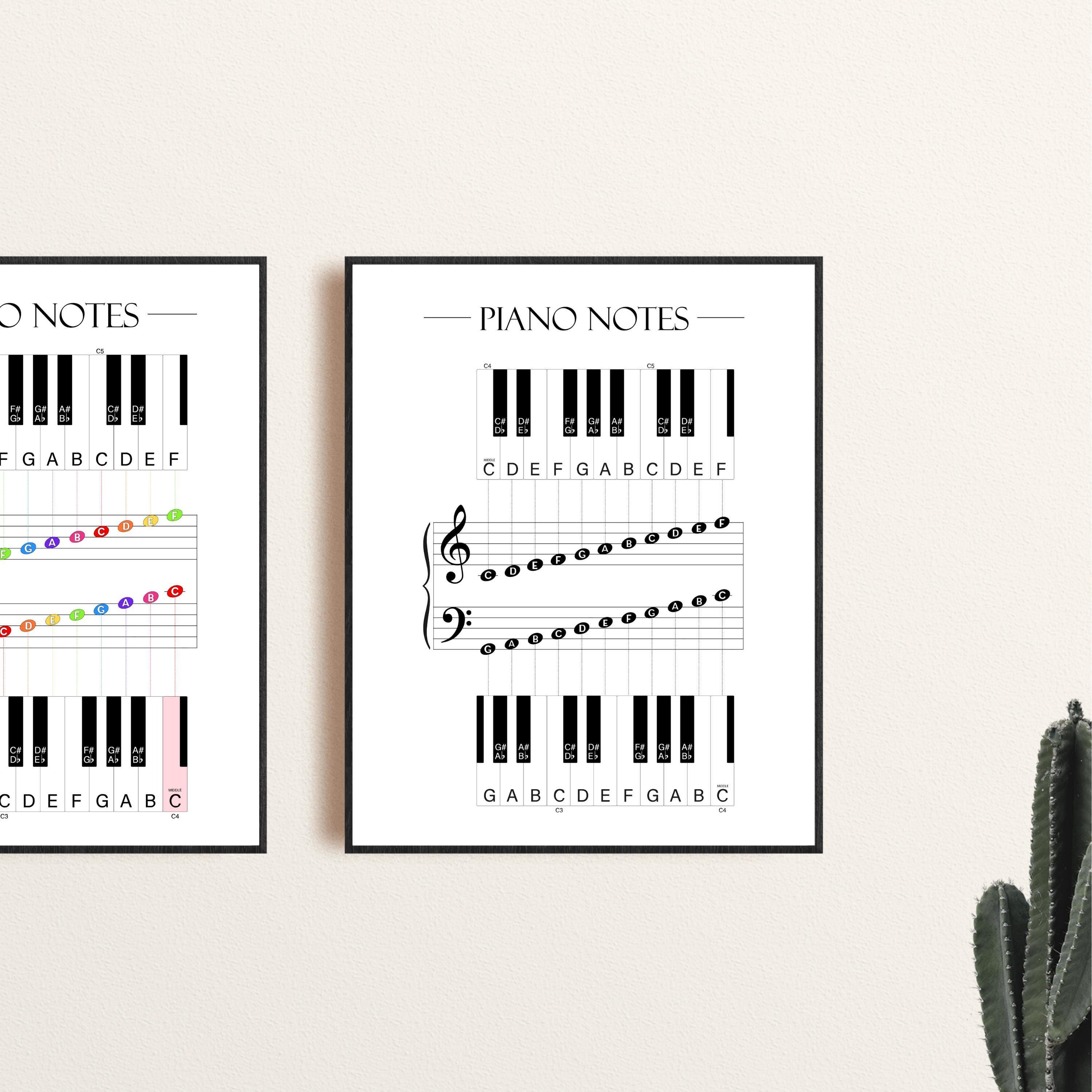 Beginner Piano Notes Poster, Colorful, Black-white Versions, Music ...