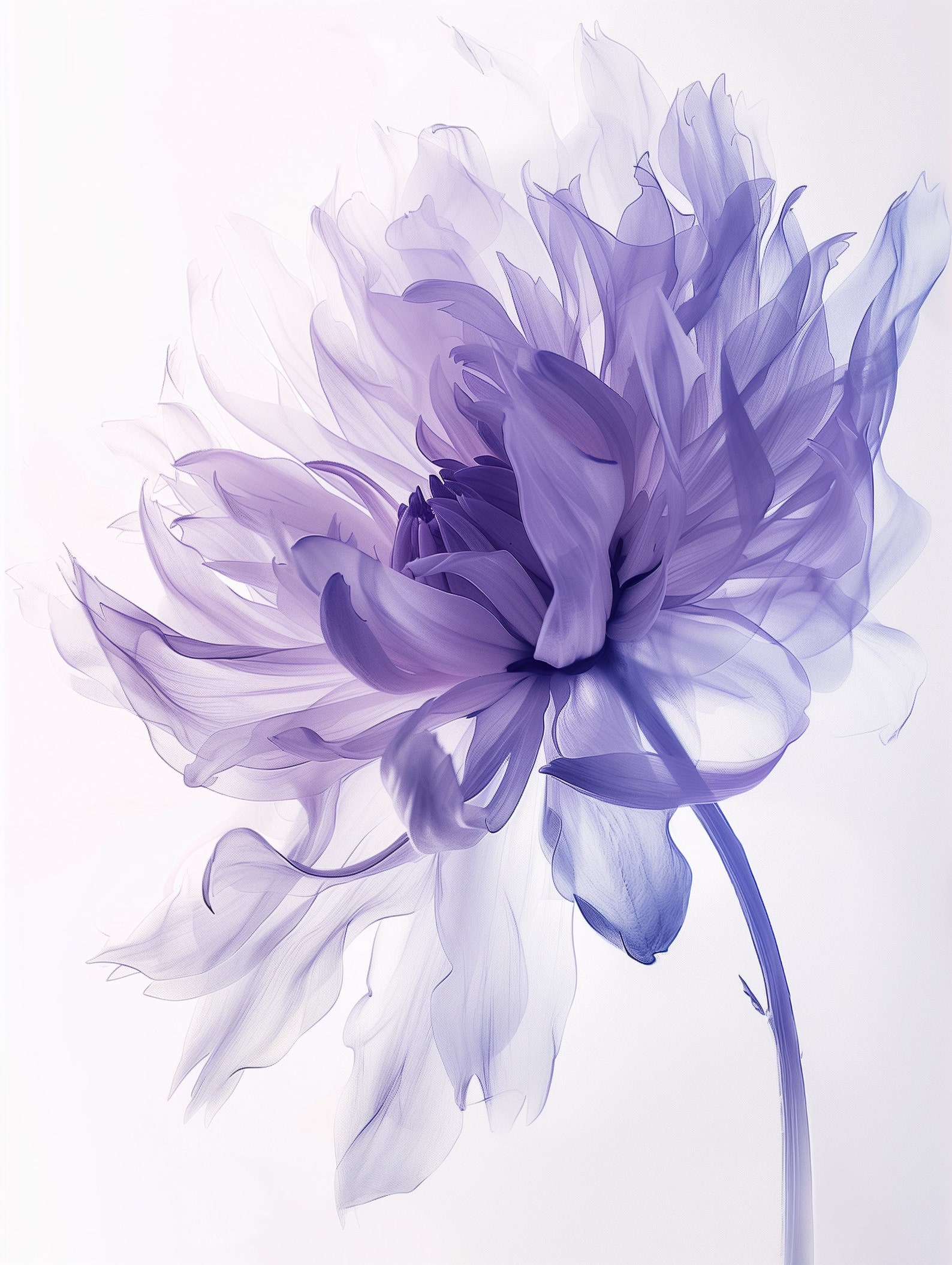 Elegant Purple Floral Art Print set of 10 Digital High-res Artwork ...