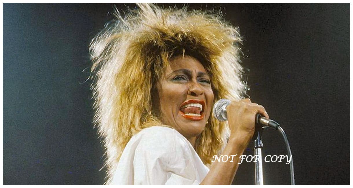 Tina Turner Rock Music Legend 8x10 Photo Rock Hall of Fame Concert ...