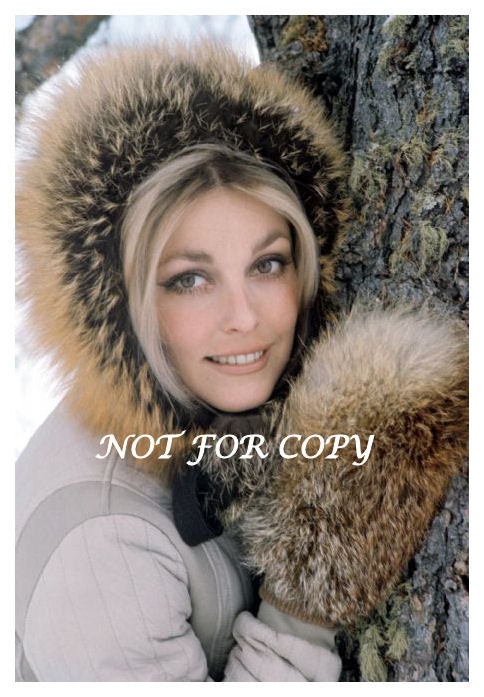 Sharon Tate Color 8x10 Photo Manson Family Victim Hollywood - Etsy
