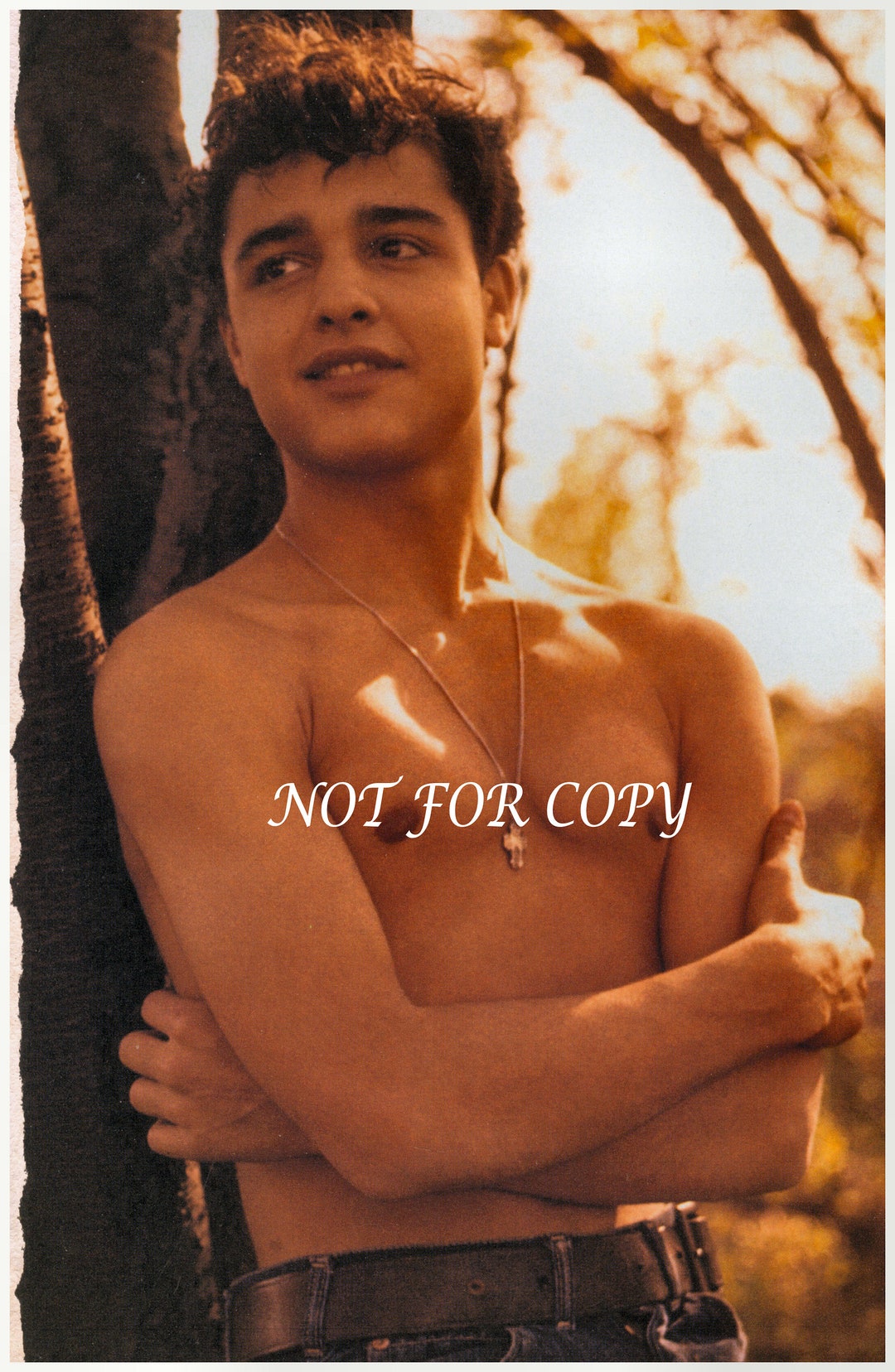 Sal Mineo 8X10 Color Photo Beefcake Model #100 Movie Legend - Etsy