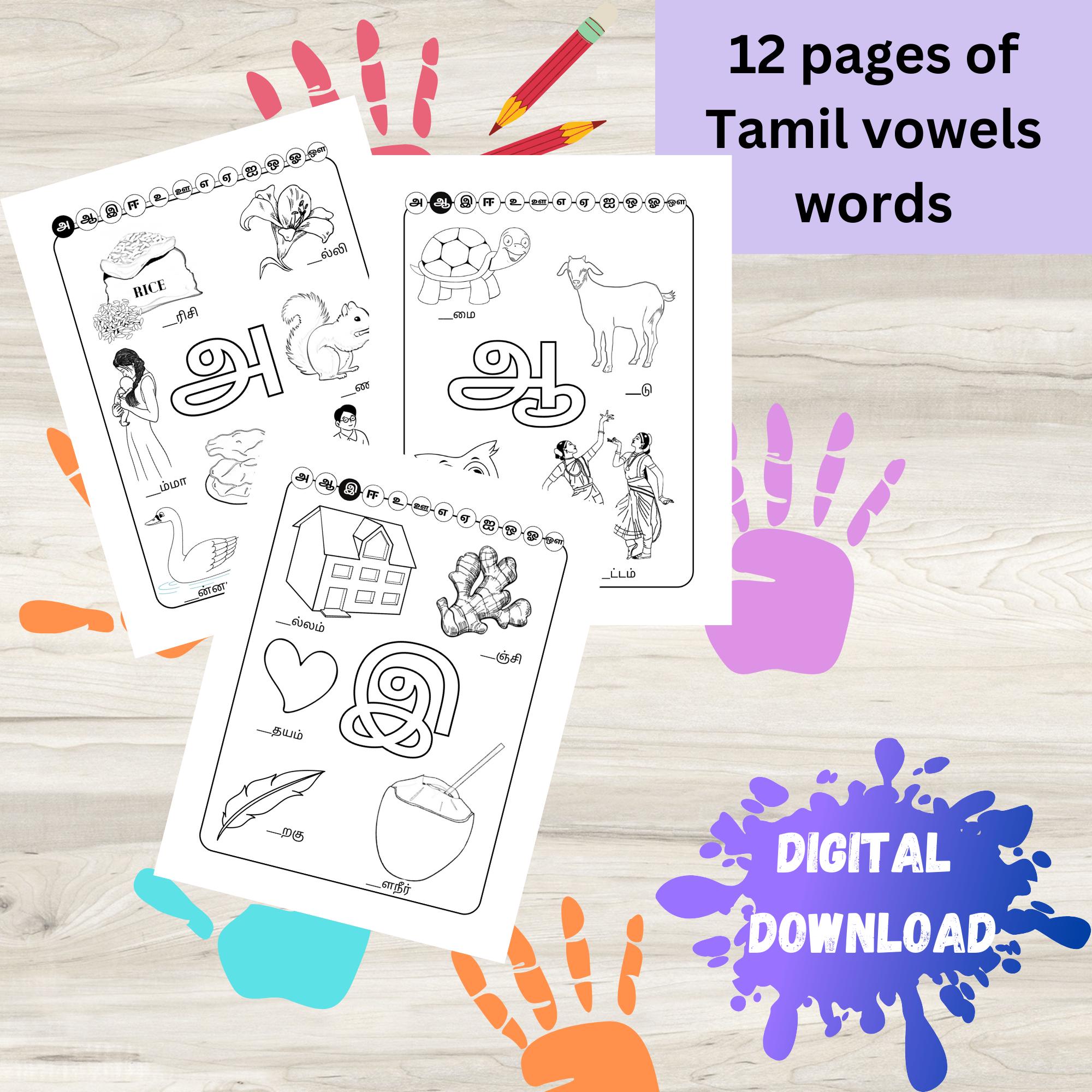 Tamil Alphabet Printable Activity Worksheets for Kids | 15 Pages Tamil ...