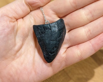 Dinosaur Tooth Replica Necklace - Etsy