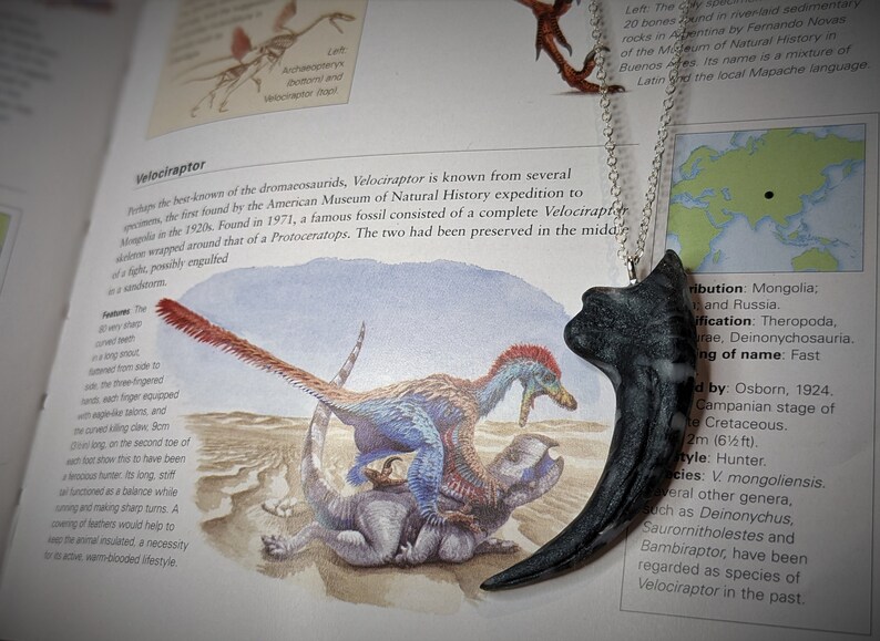Velociraptor Claw Necklace Dinosaur Necklace Dinosaur - Etsy