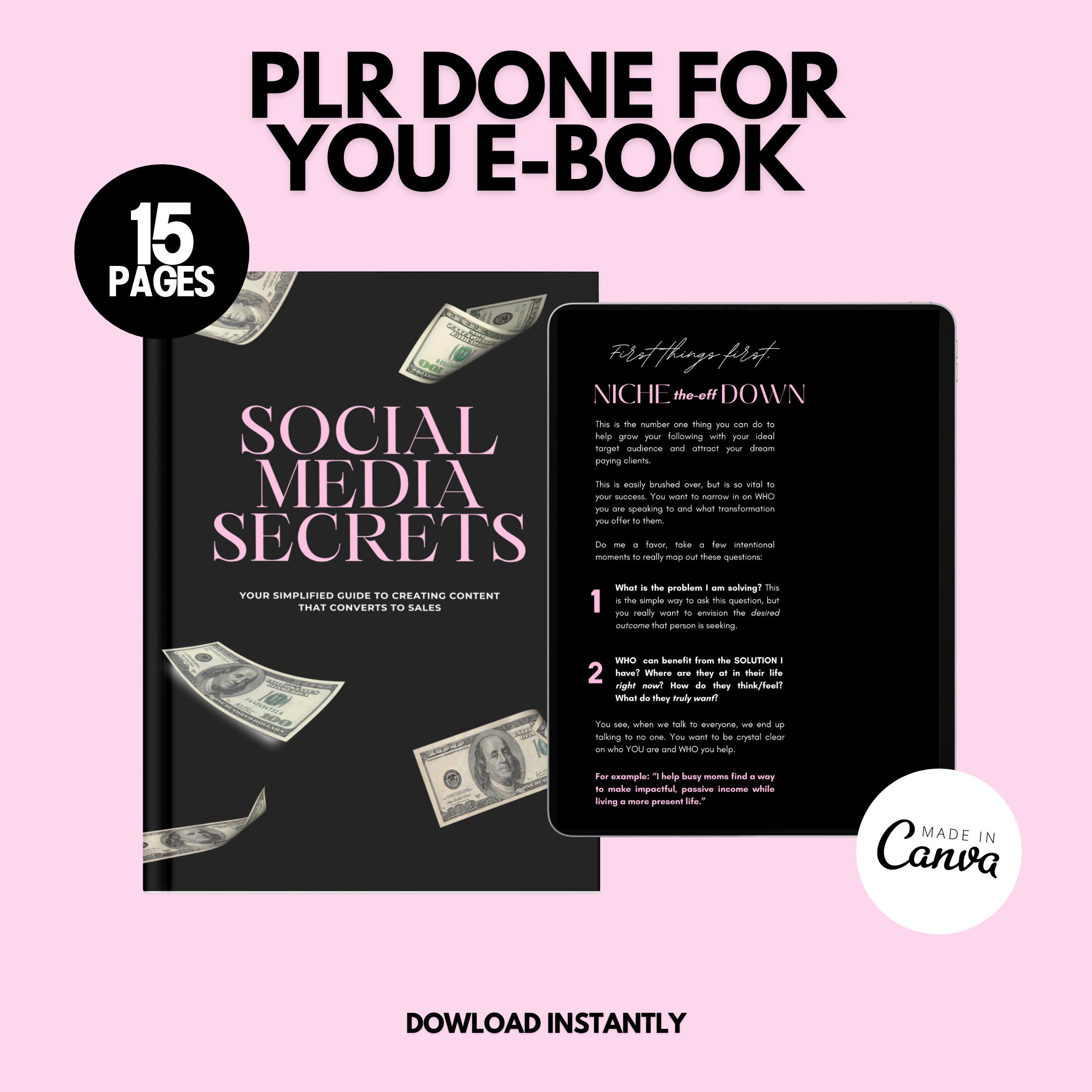 PLR E-book | Done for You Template E Book Template Plan Your Content ...