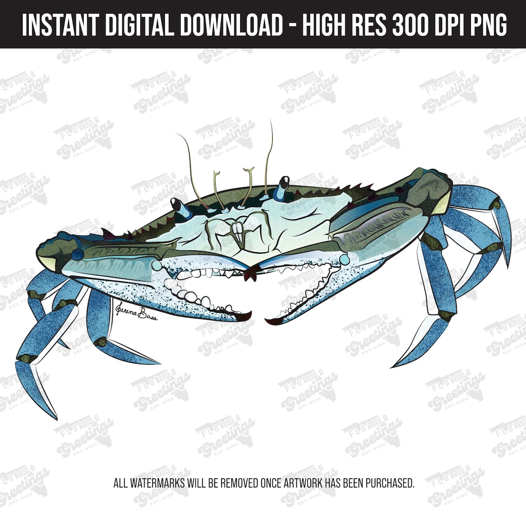 Blue Crab High Resolution Illustration Digital Download - Etsy