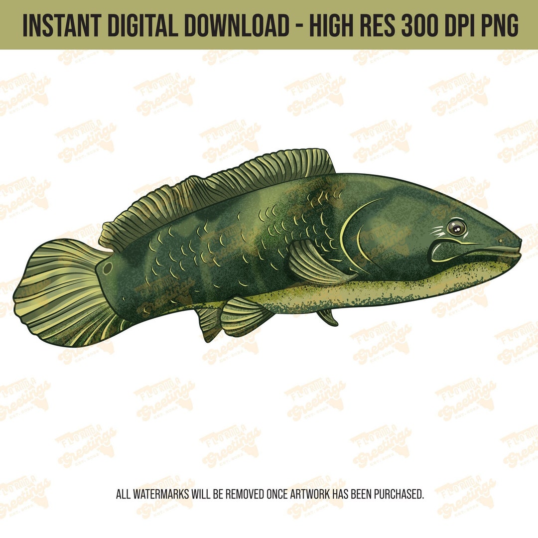 Bowfin Aka Mudfish Digital Illustration High Resolution - Etsy
