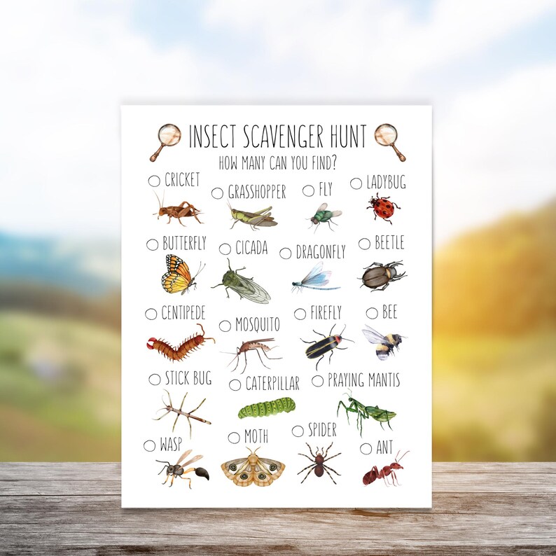 Insect Scavenger Hunt Kids, Outdoor Scavenger Hunt List, Summer Nature ...