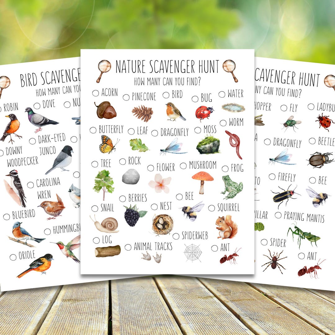 Nature Scavenger Hunt Lists, Outdoor Woodland Scavenger Hunt, Insect ...